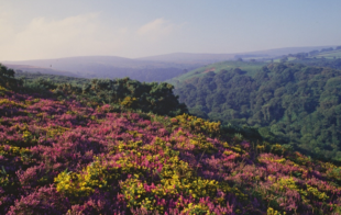 Protected Landscapes – Environment