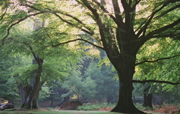 Improving environmental outcomes in Protected Landscapes – Environment