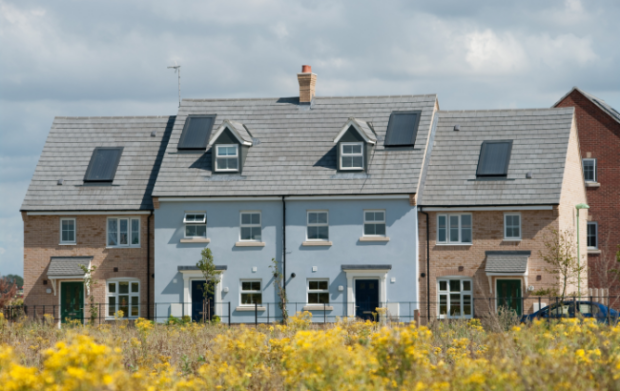 Biodiversity net gain now applies to small developments – Environment