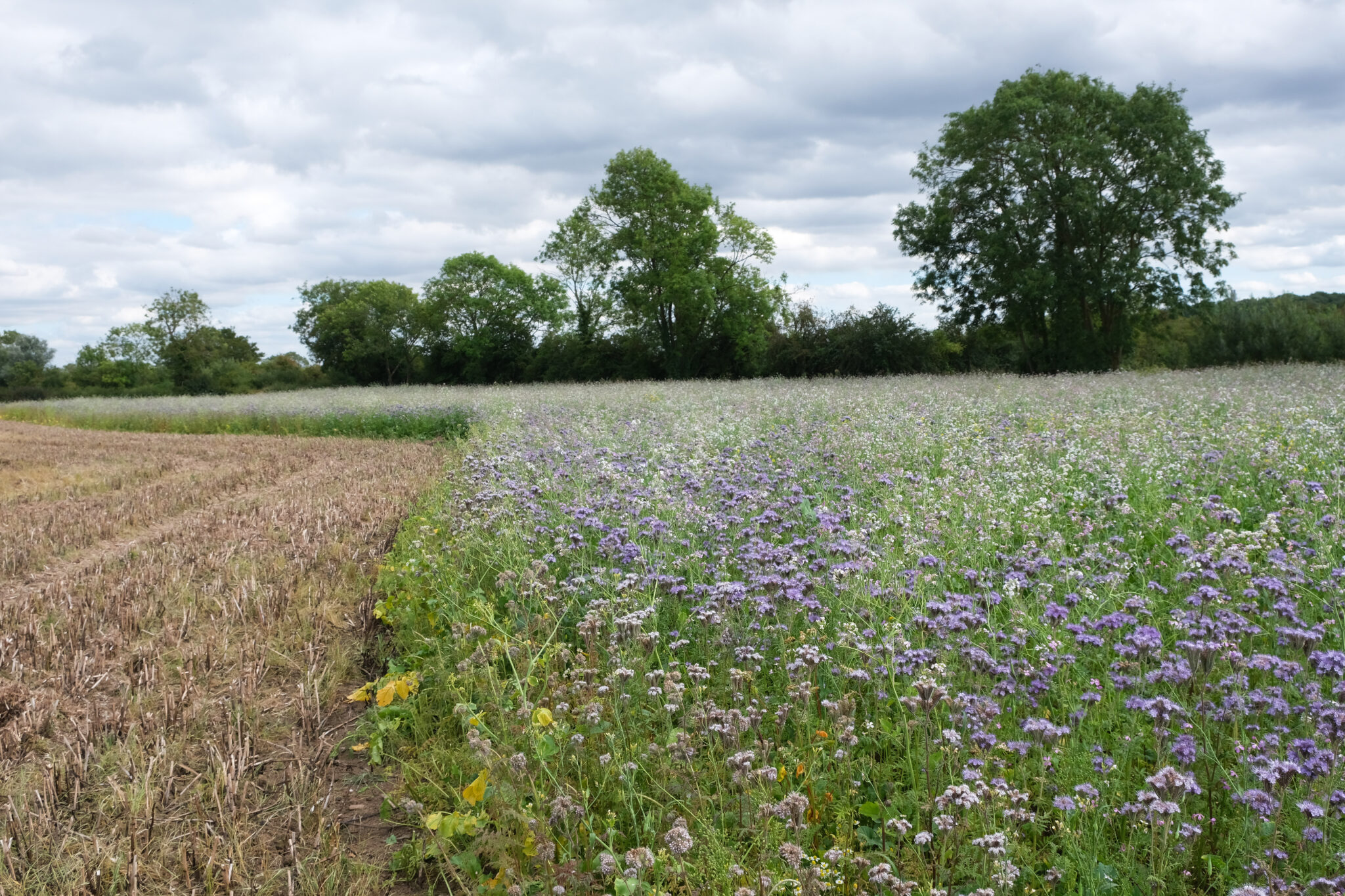 Government publishes first Pesticides National Action Plan in a decade ...